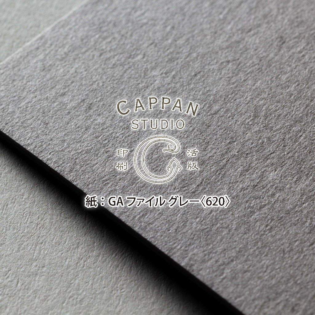 GAファイル グレー 四六判：620kg【無地】 – CAPPAN STUDIO ONLINE STORE